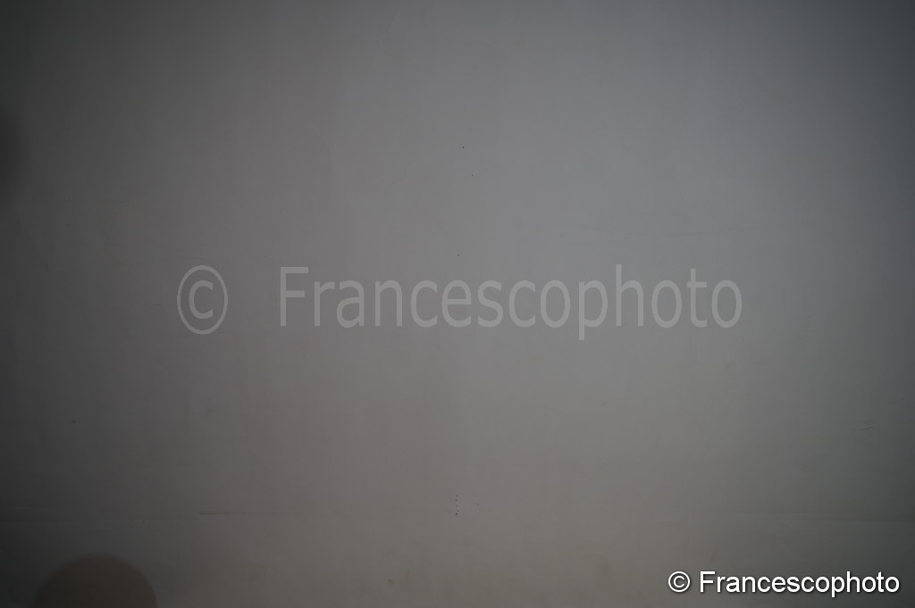 14-NIKON Z 6_2-NIKKOR Z 14-30mm f-4 S-20 mm-f-4-DSC_1656-C-One-nonr-d-a ...