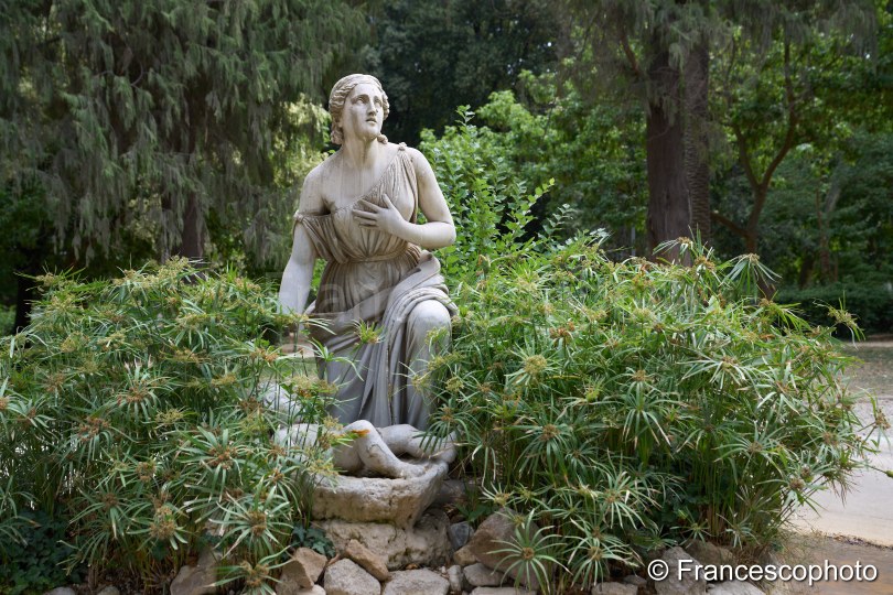 17-SONY-ILCE-1-ISO 100-DSC00546-C-One-nonr | Francescophoto Blog